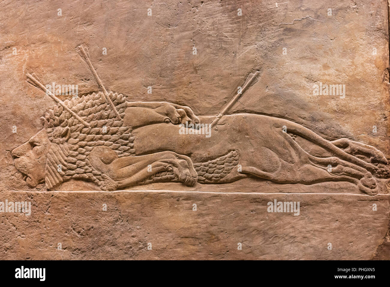 Assyrian relief royal lion hunt hi-res stock photography and images - Alamy