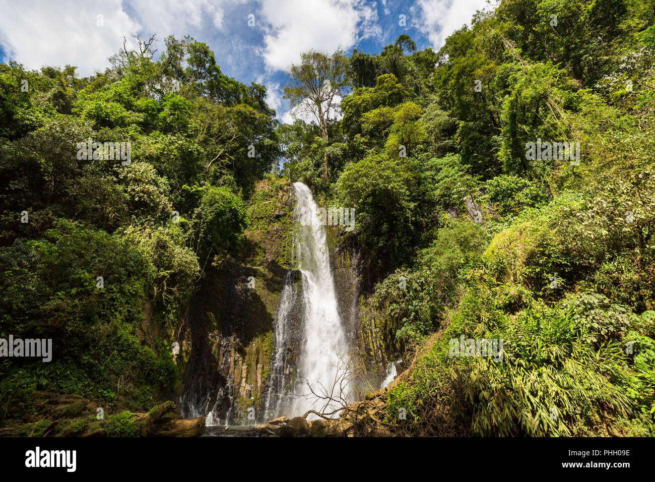Waterfall in jungle Stock Photo - Alamy