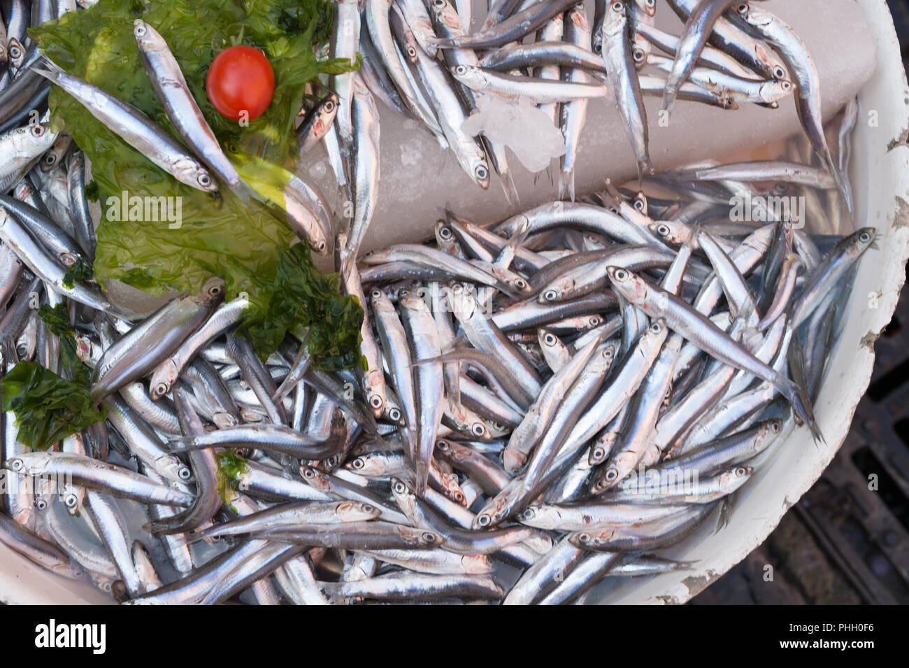Frostfish hi-res stock photography and images - Alamy