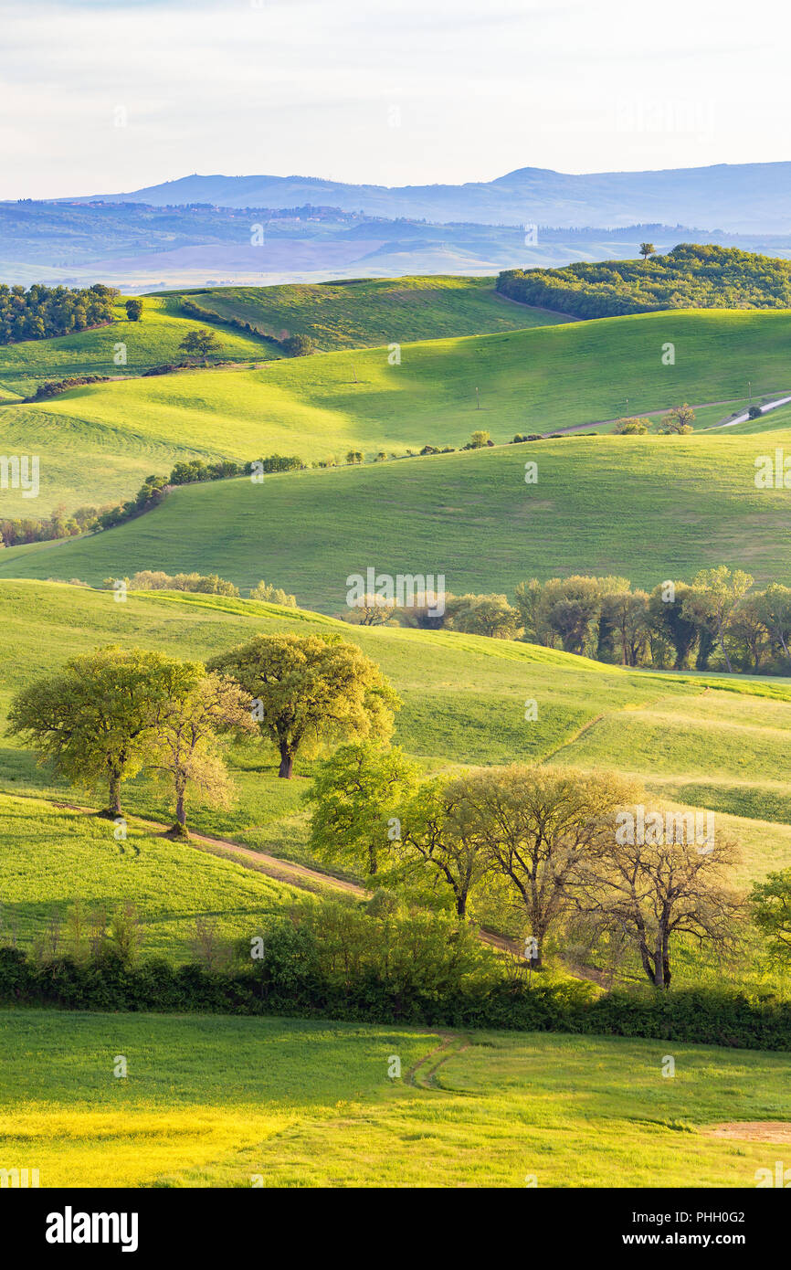 Landscape view treeline in hi-res stock photography and images - Alamy