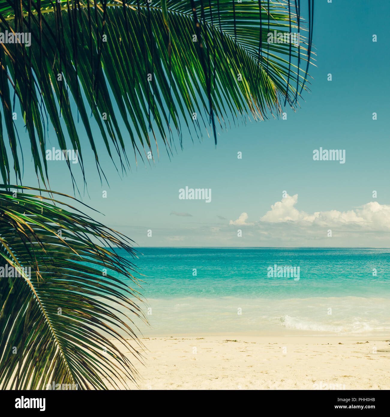 Tropical island beach. Perfect vacation background Stock Photo - Alamy