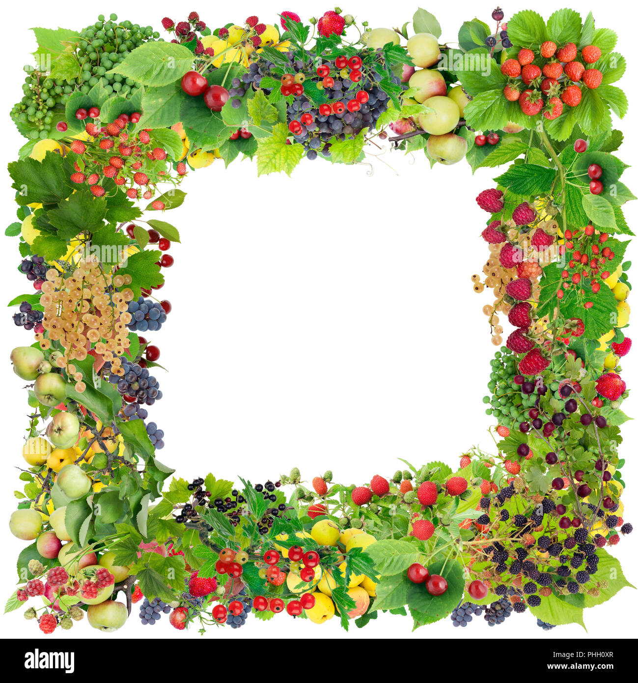 Berries photo frame Stock Photo - Alamy