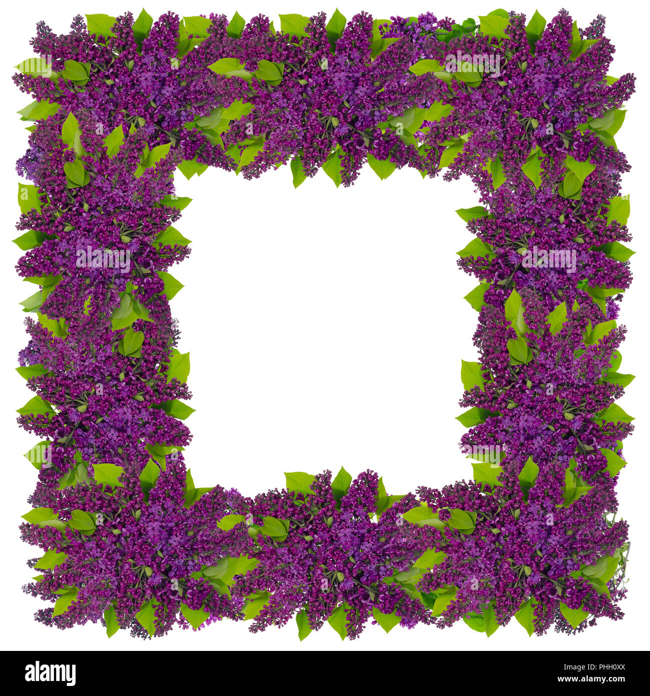 Lilac frame hi-res stock photography and images - Alamy