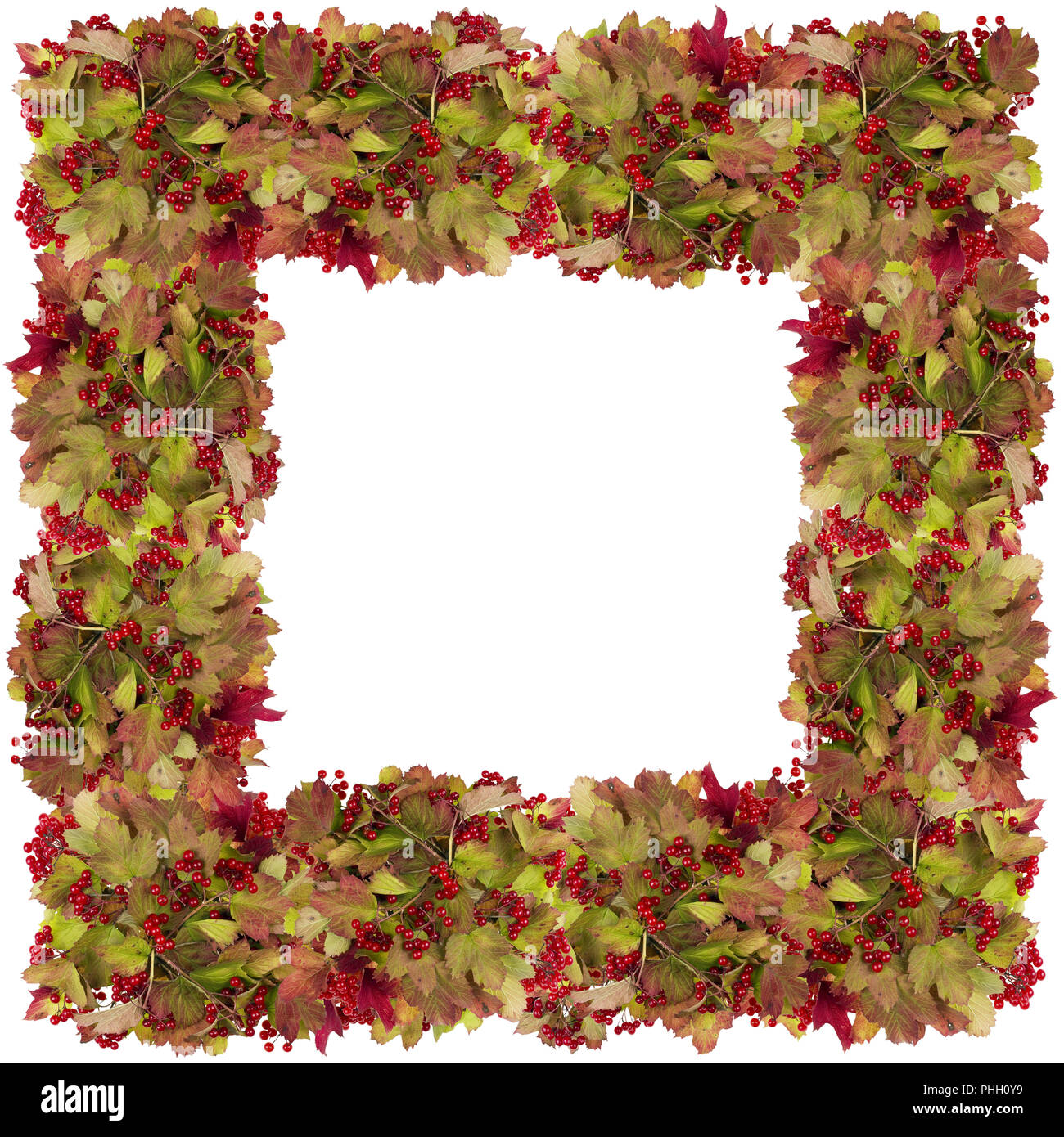 Abstract autumn leaves berries Cut Out Stock Images & Pictures - Alamy