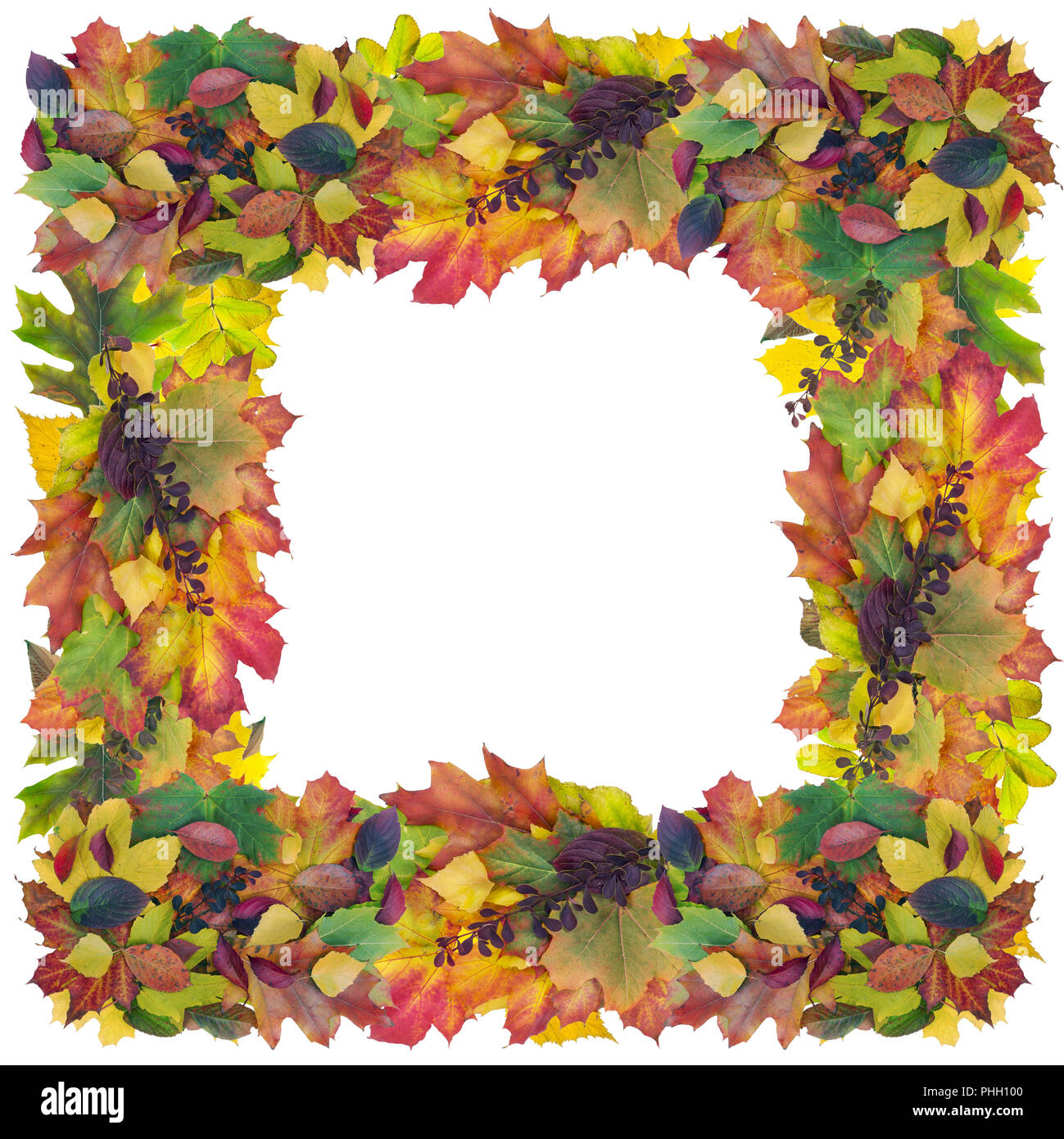Autumn square frame Stock Photo - Alamy