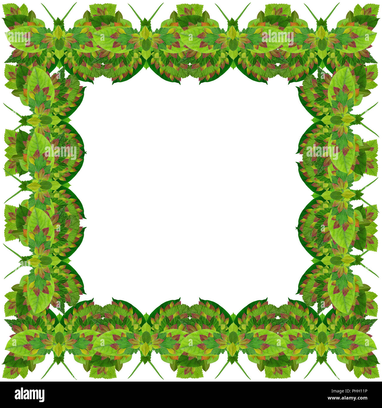 Green butterfly photo frame Stock Photo - Alamy