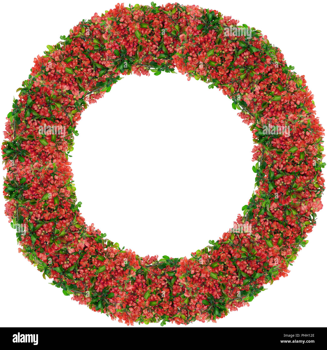 Round frame from red spring branches Stock Photo - Alamy