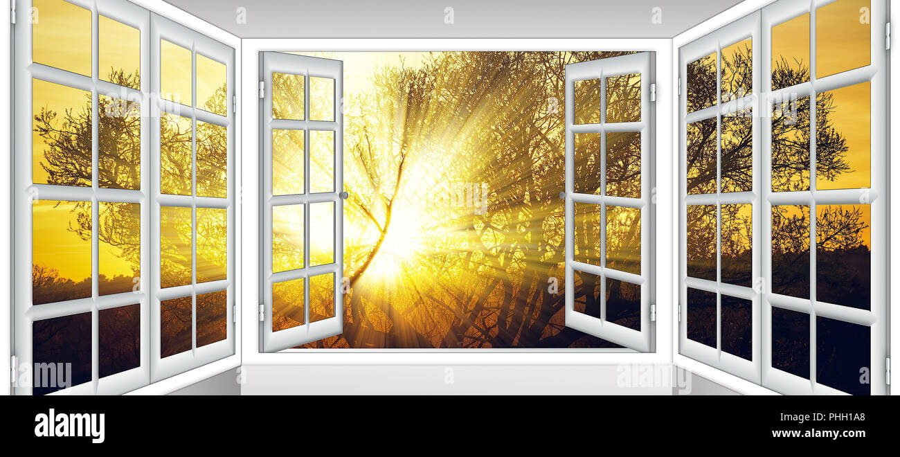 Open to the sun hi-res stock photography and images - Alamy