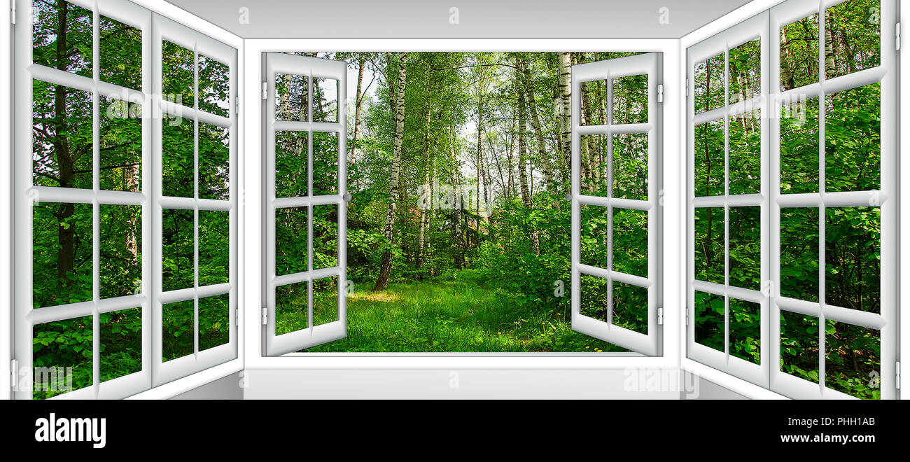 Landscape from window hi-res stock photography and images - Alamy
