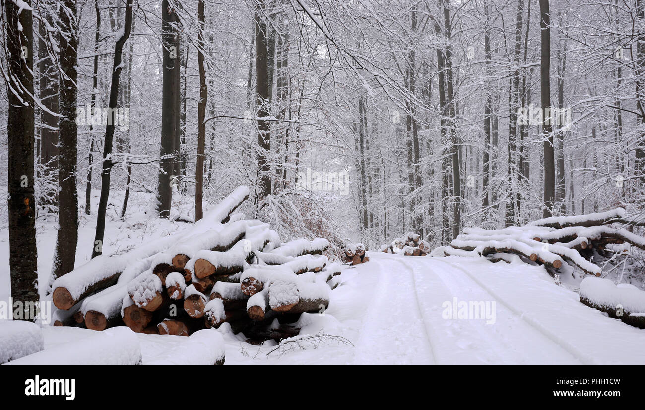 Woodpile winter hi-res stock photography and images - Alamy