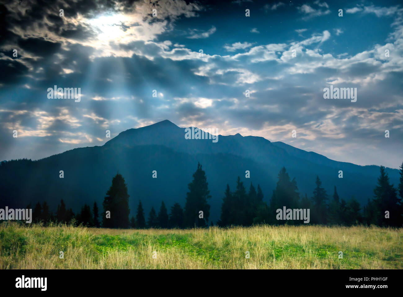 Grass dark night background hi-res stock photography and images - Alamy