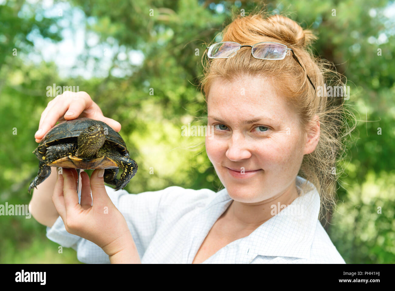 Blond tortoise hi-res stock photography and images - Alamy