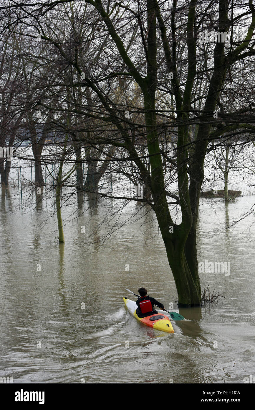 Kayak rider floats at Rhine high water Stock Photo - Alamy
