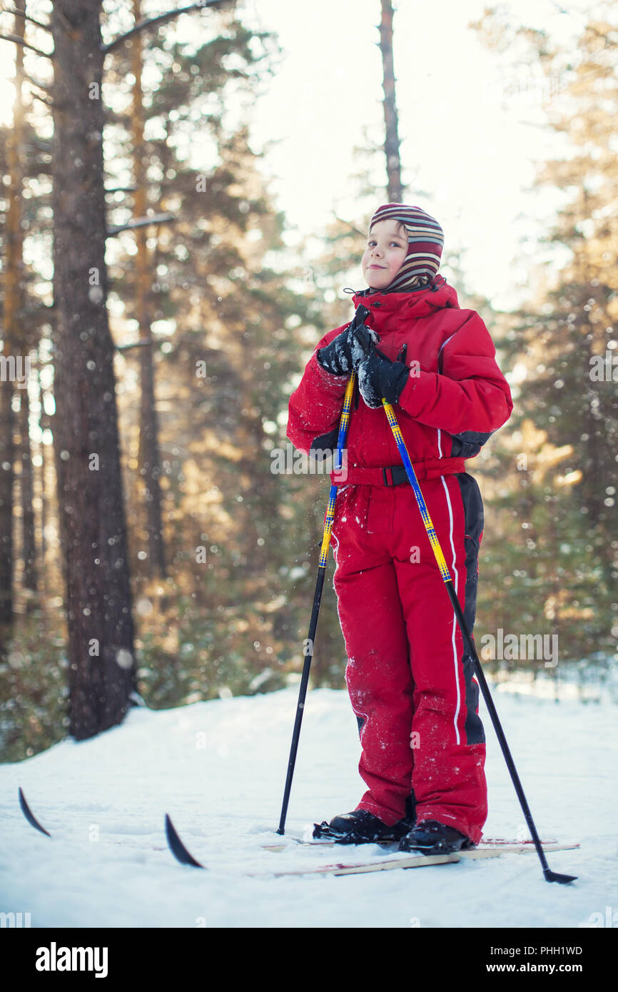 skiing in the forest Stock Photo - Alamy