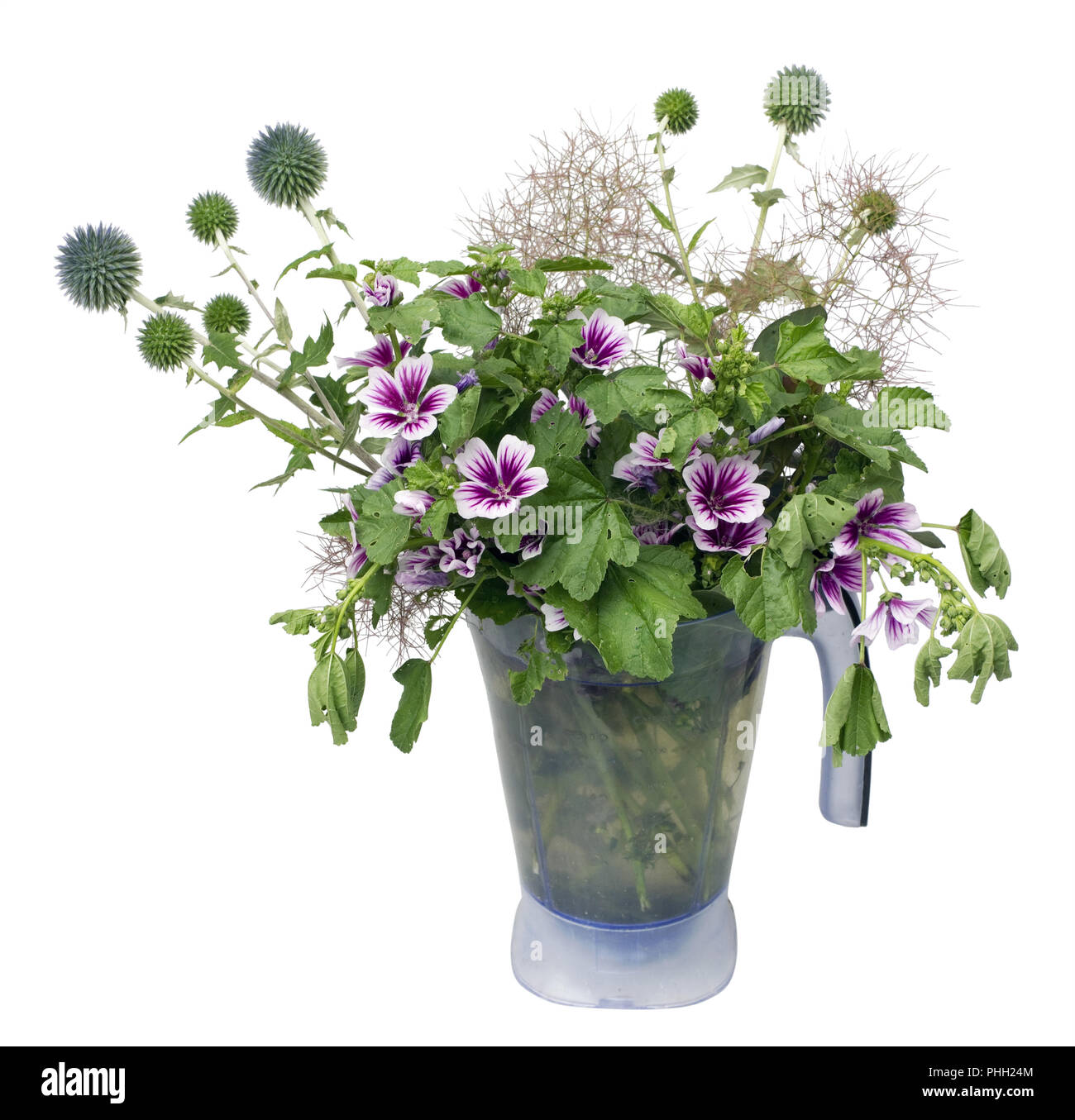 Bouquet from wild flowers thistle Stock Photo - Alamy