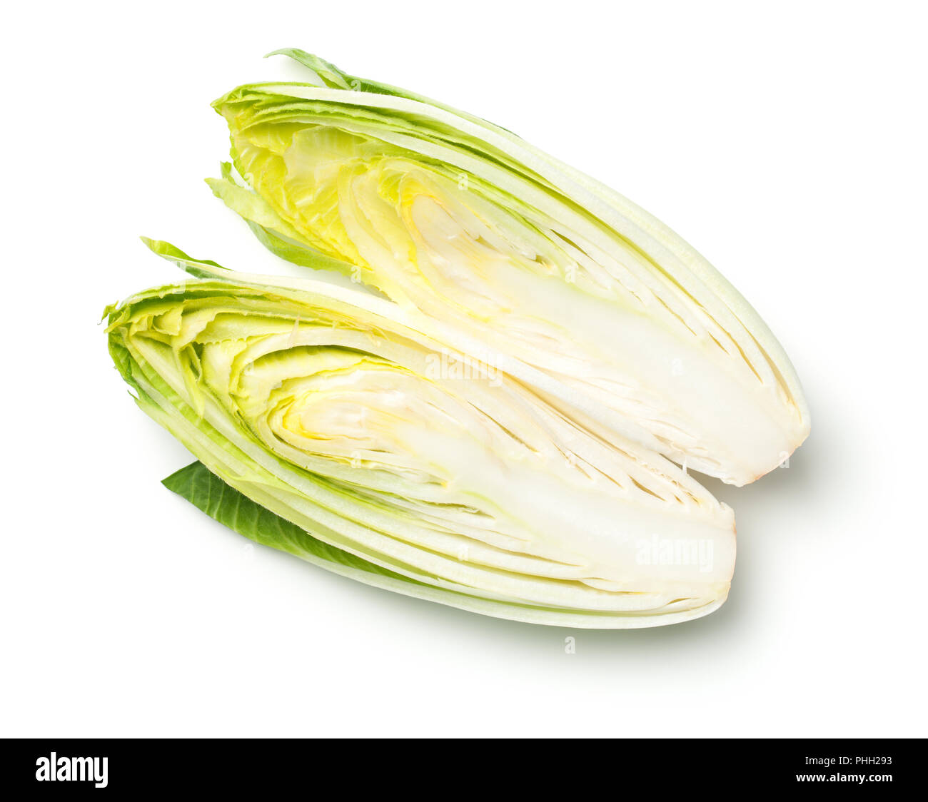 Chicory on white background hi-res stock photography and images - Alamy