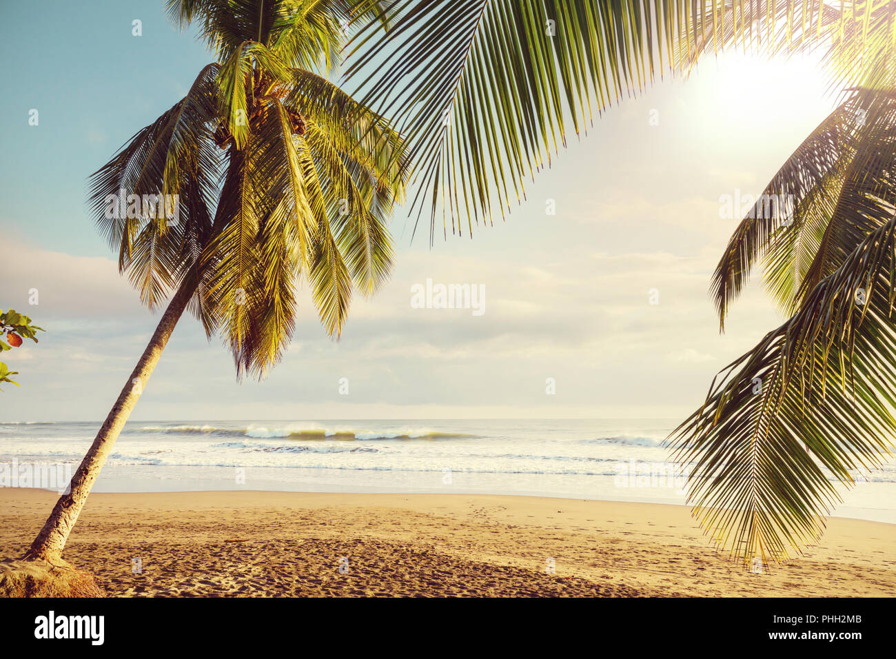 Coast in Costa Rica Stock Photo - Alamy