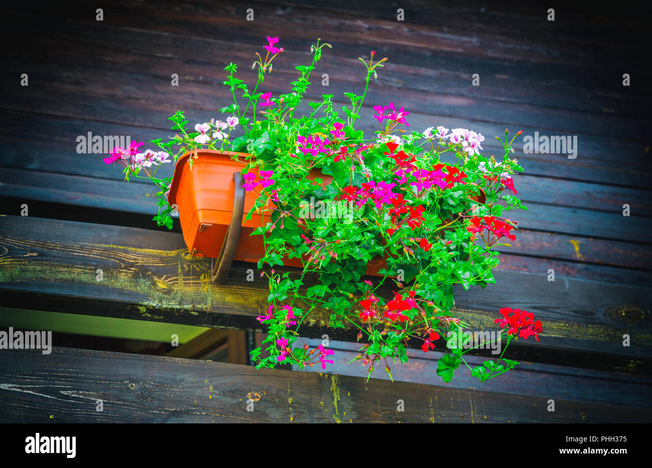 Flowers screensaver computer hi-res stock photography and images - Alamy