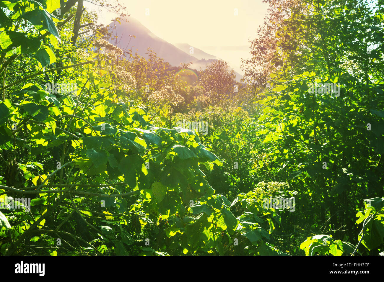 Latin american landscapes hi-res stock photography and images - Alamy