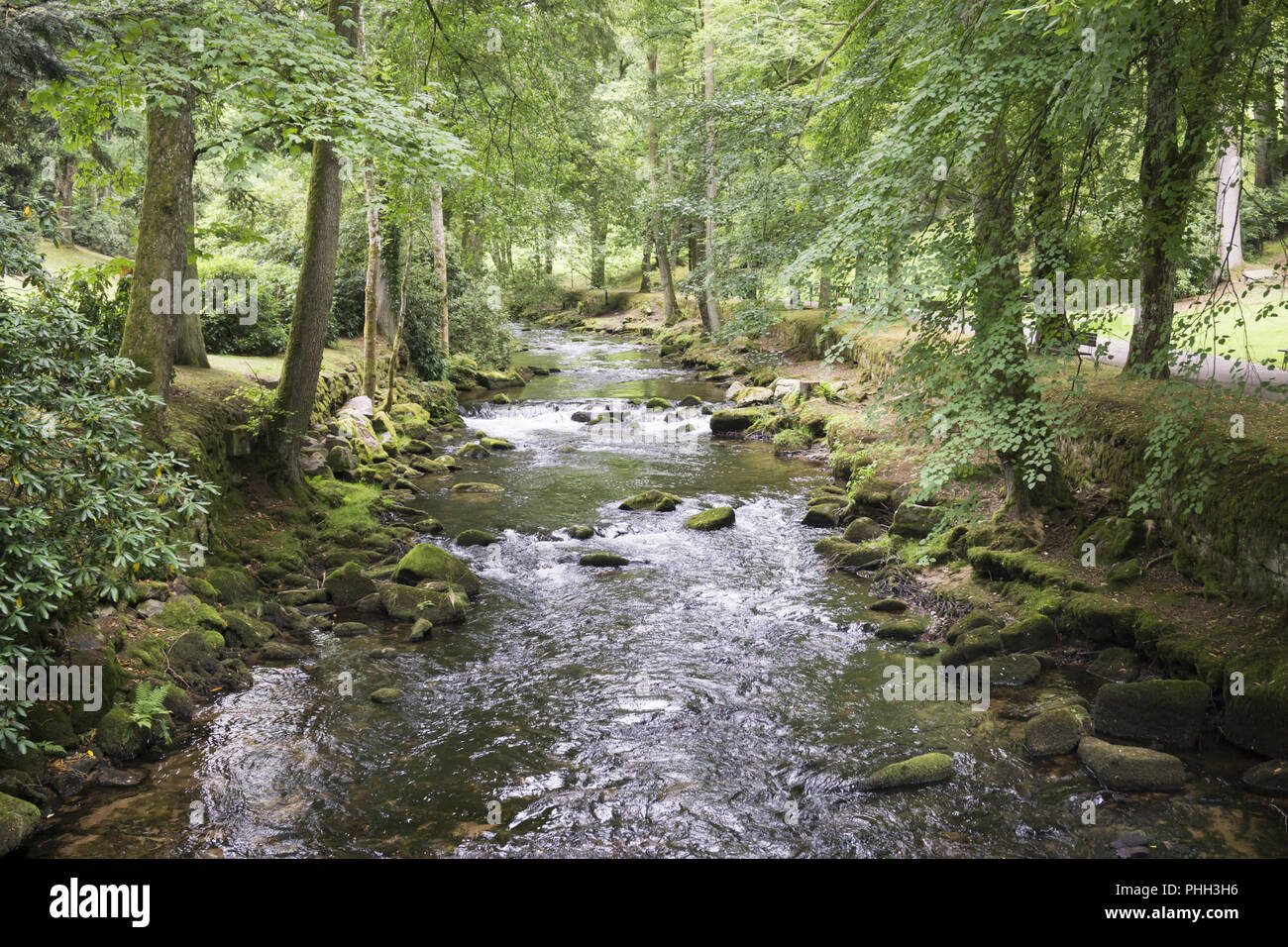 River Enz at the Black forest Stock Photo - Alamy