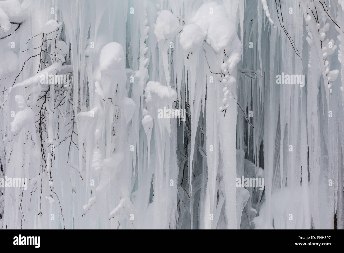 Ice on a tree hi-res stock photography and images - Alamy