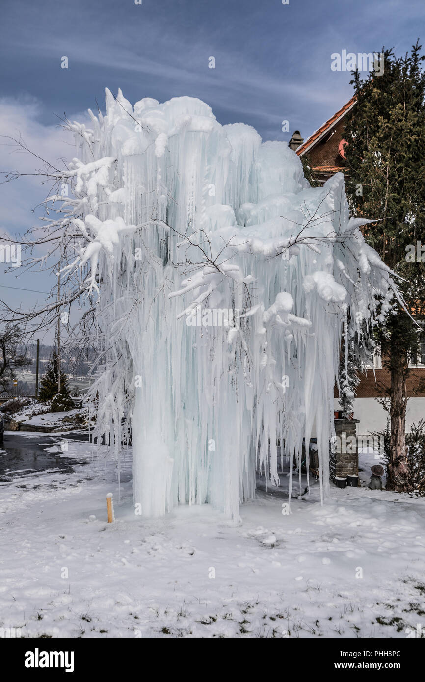 Tree covered ice snow hi-res stock photography and images - Alamy