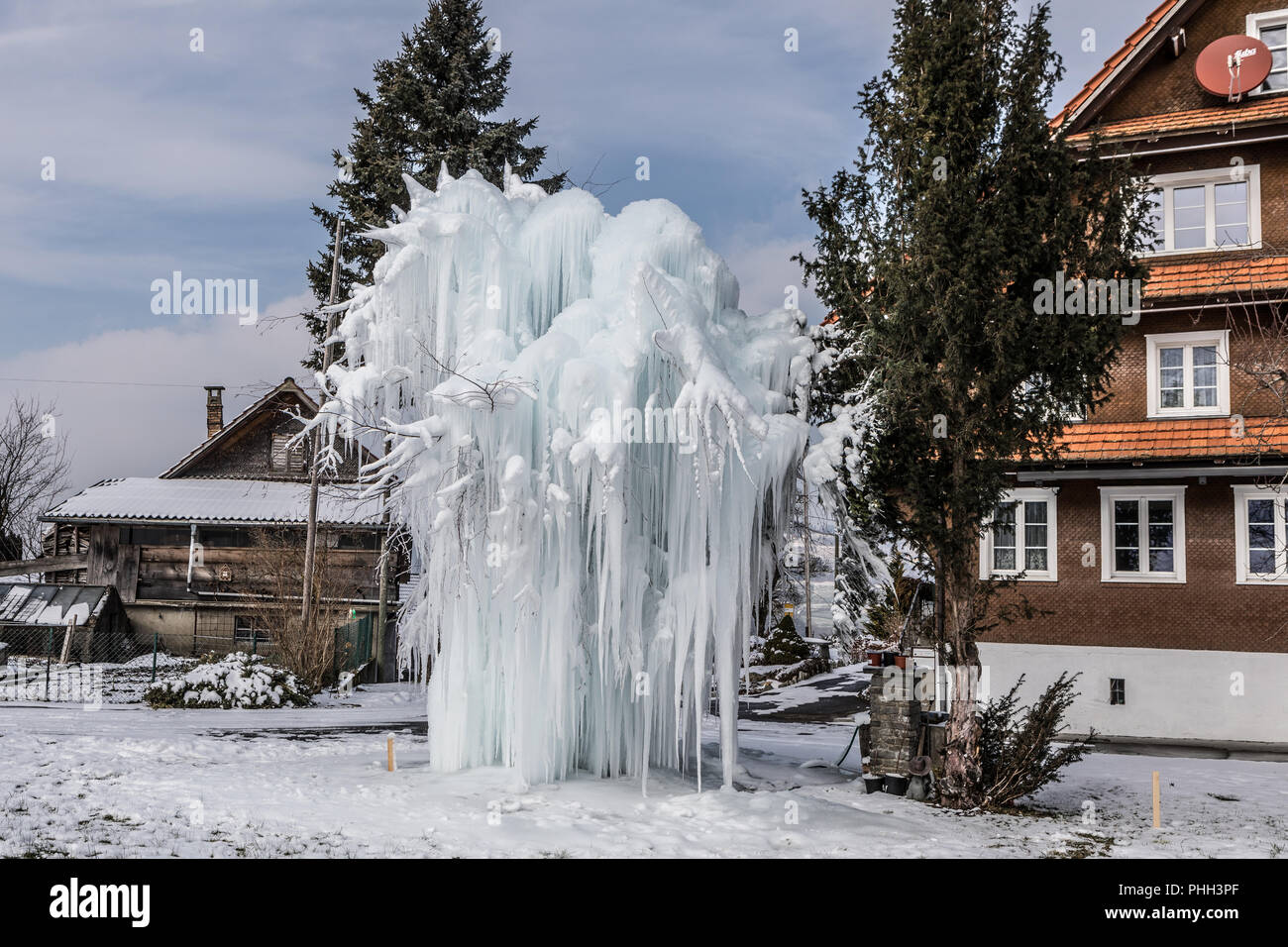 Ice tree hi-res stock photography and images - Alamy