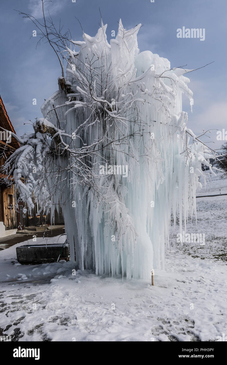 Ice tree hi-res stock photography and images - Alamy