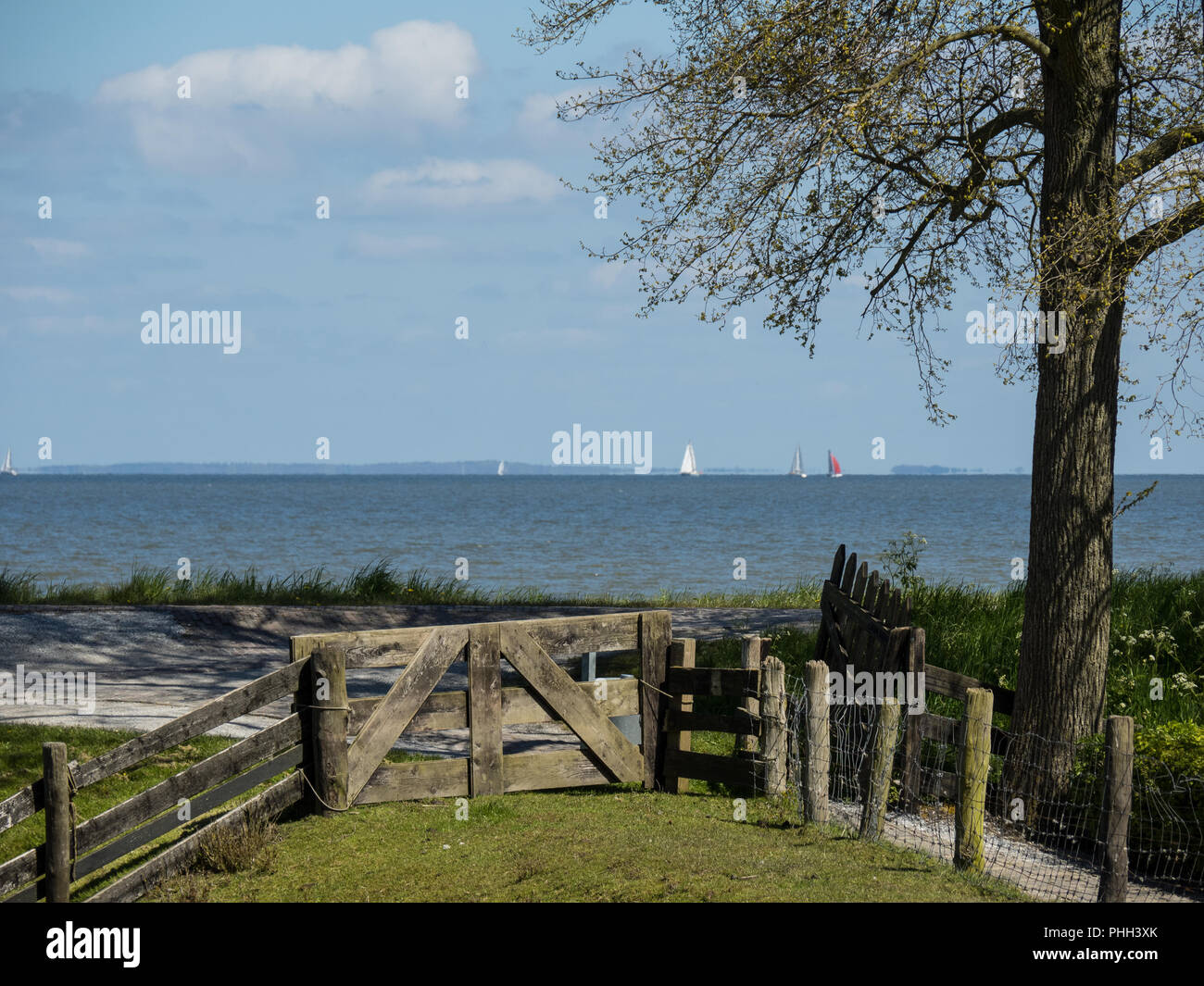 at the sea Stock Photo - Alamy