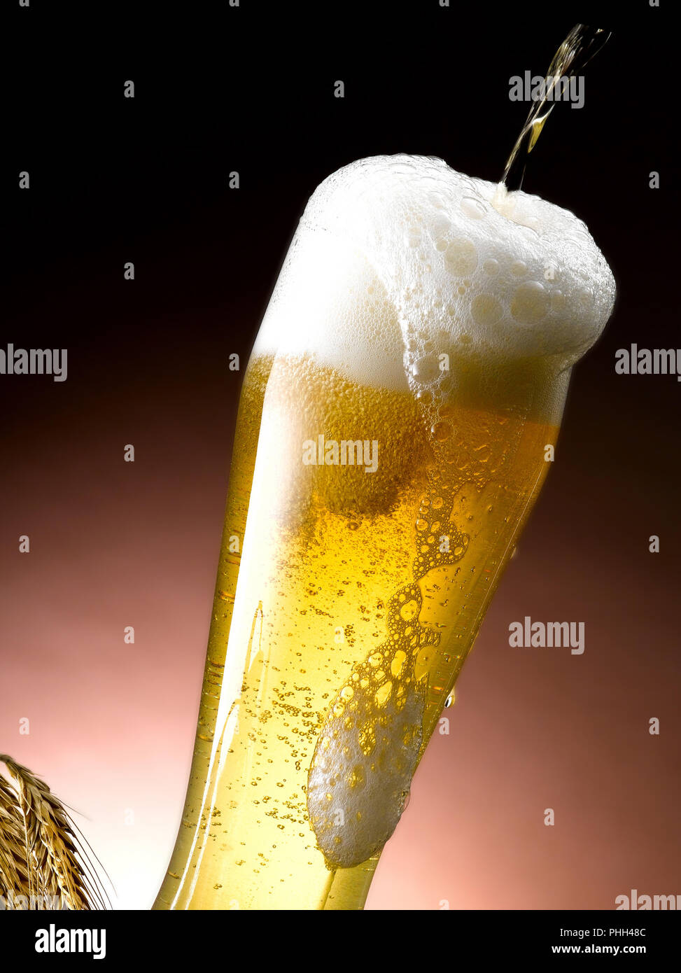 mug of frothy beer Stock Photo - Alamy