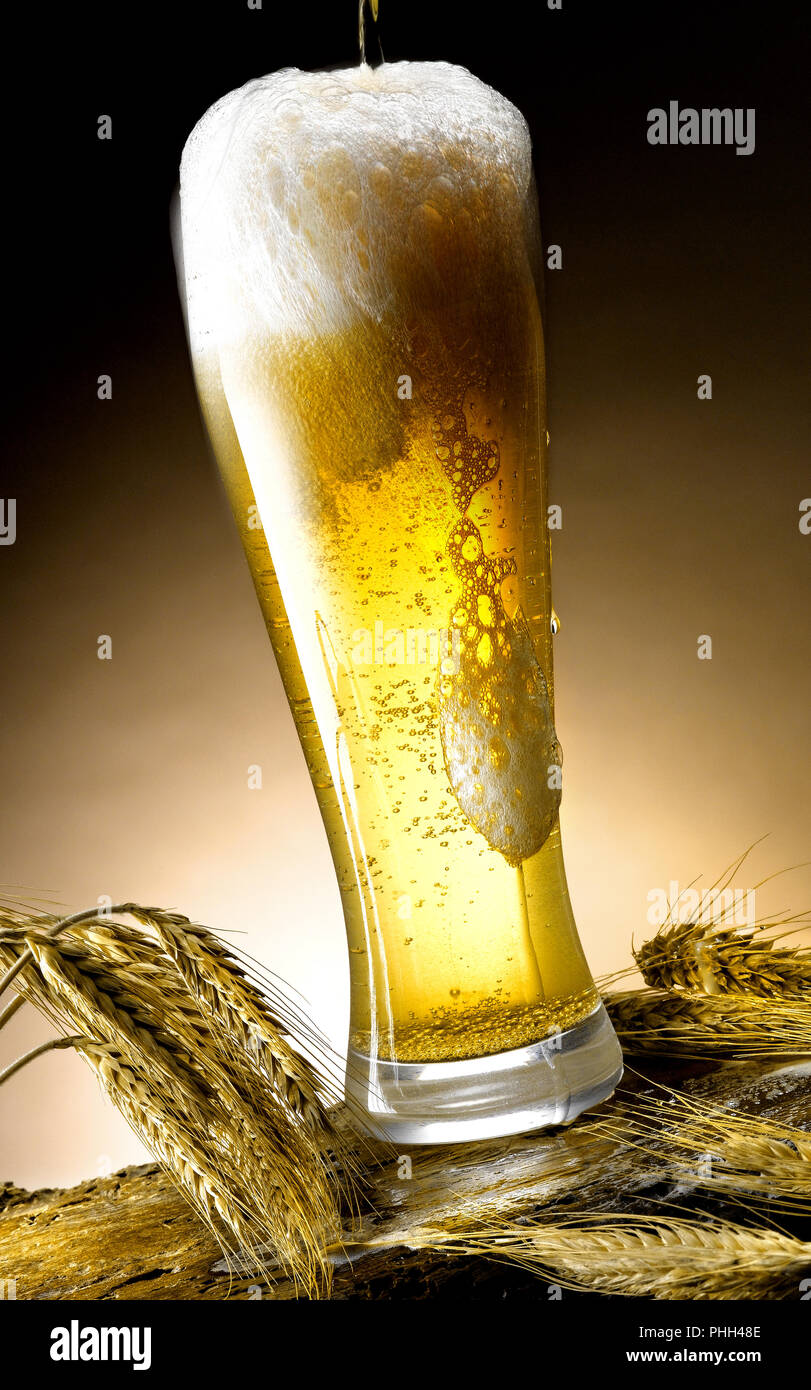 mug of frothy beer Stock Photo - Alamy