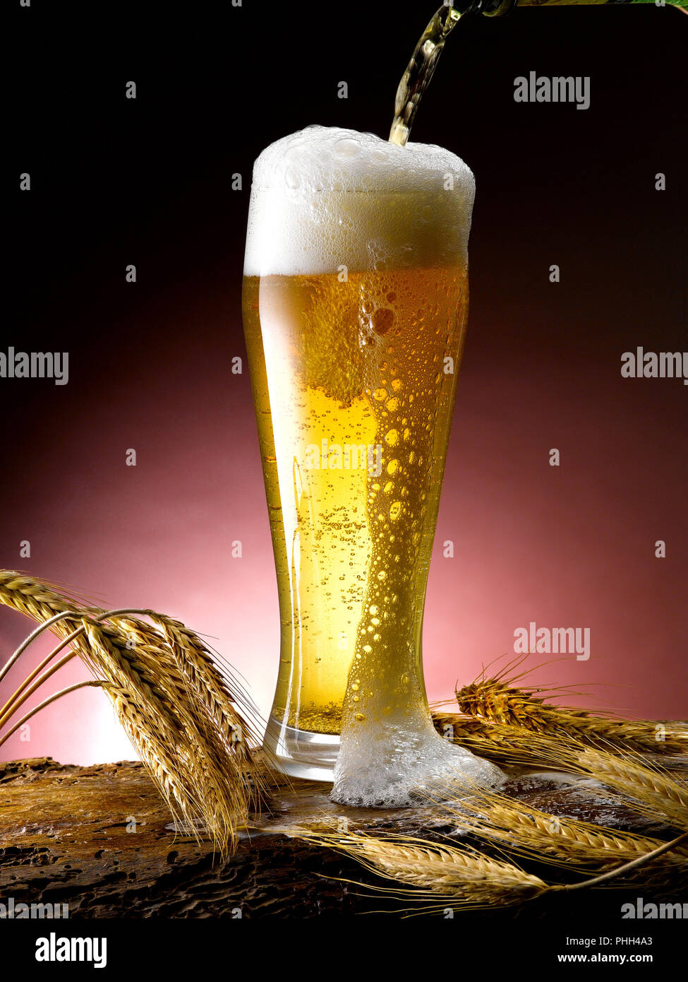 mug of frothy beer Stock Photo - Alamy