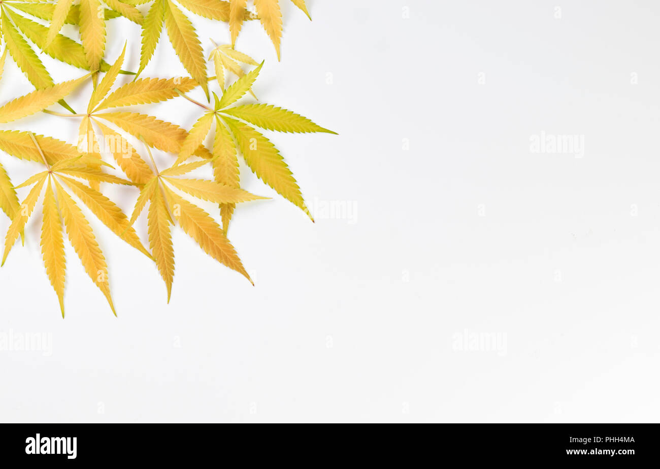 Wallpaper marijuana hi-res stock photography and images - Alamy