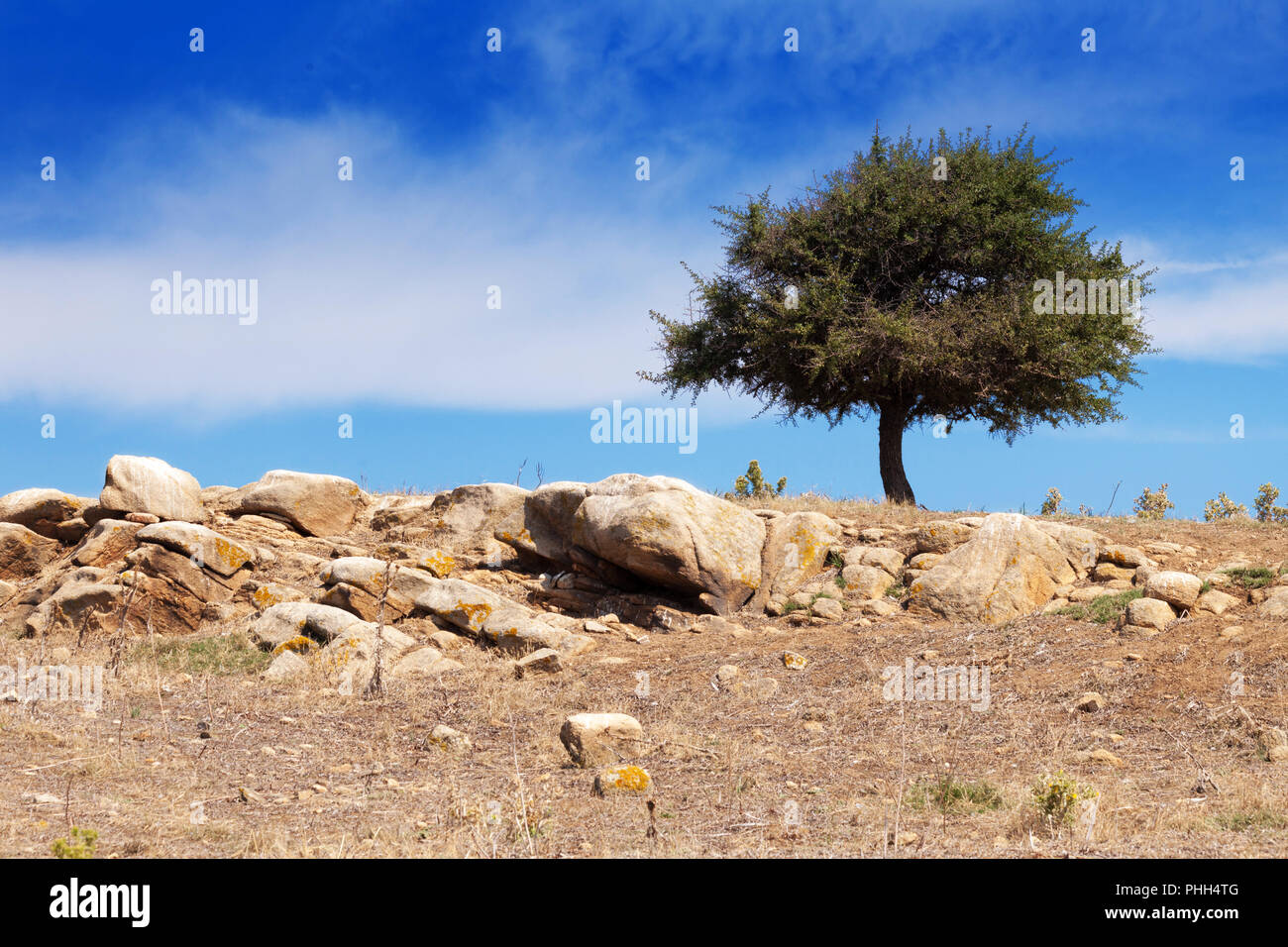 Rocky land hi-res stock photography and images - Alamy