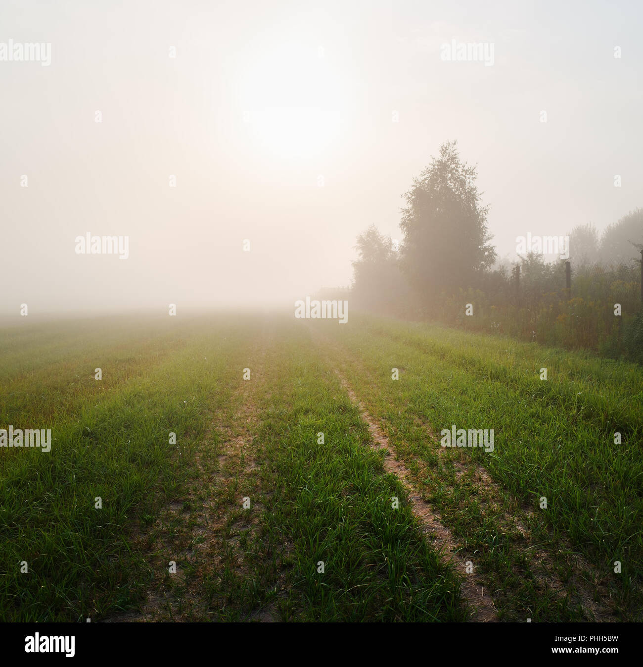 Field in the fog Stock Photo - Alamy