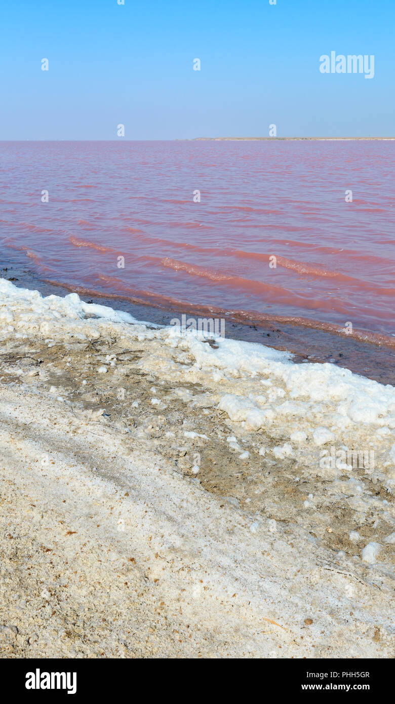 Pink salty Syvash Lake, Ukraine Stock Photo - Alamy