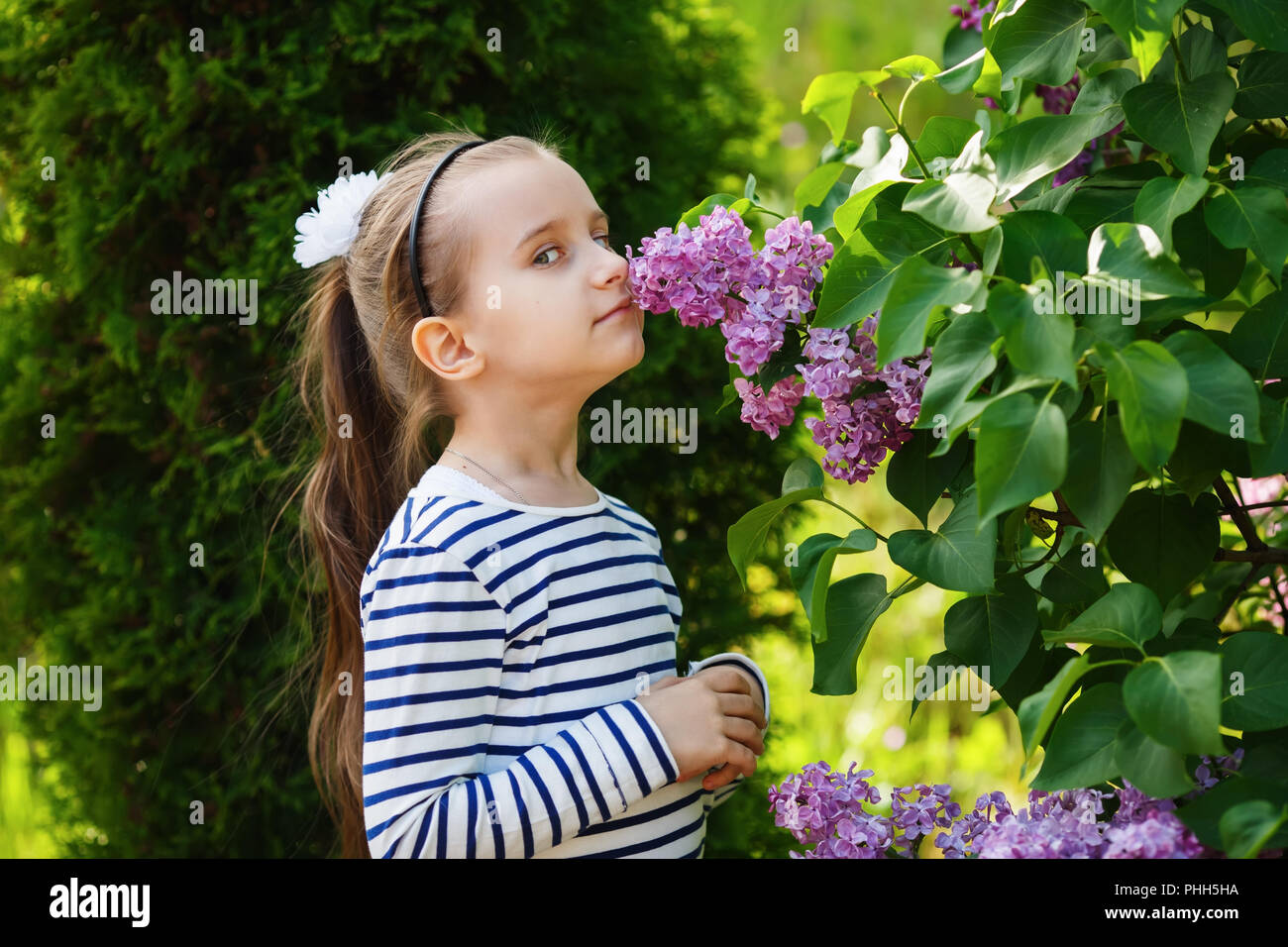 Child smelling lilacs Stock Photo - Alamy