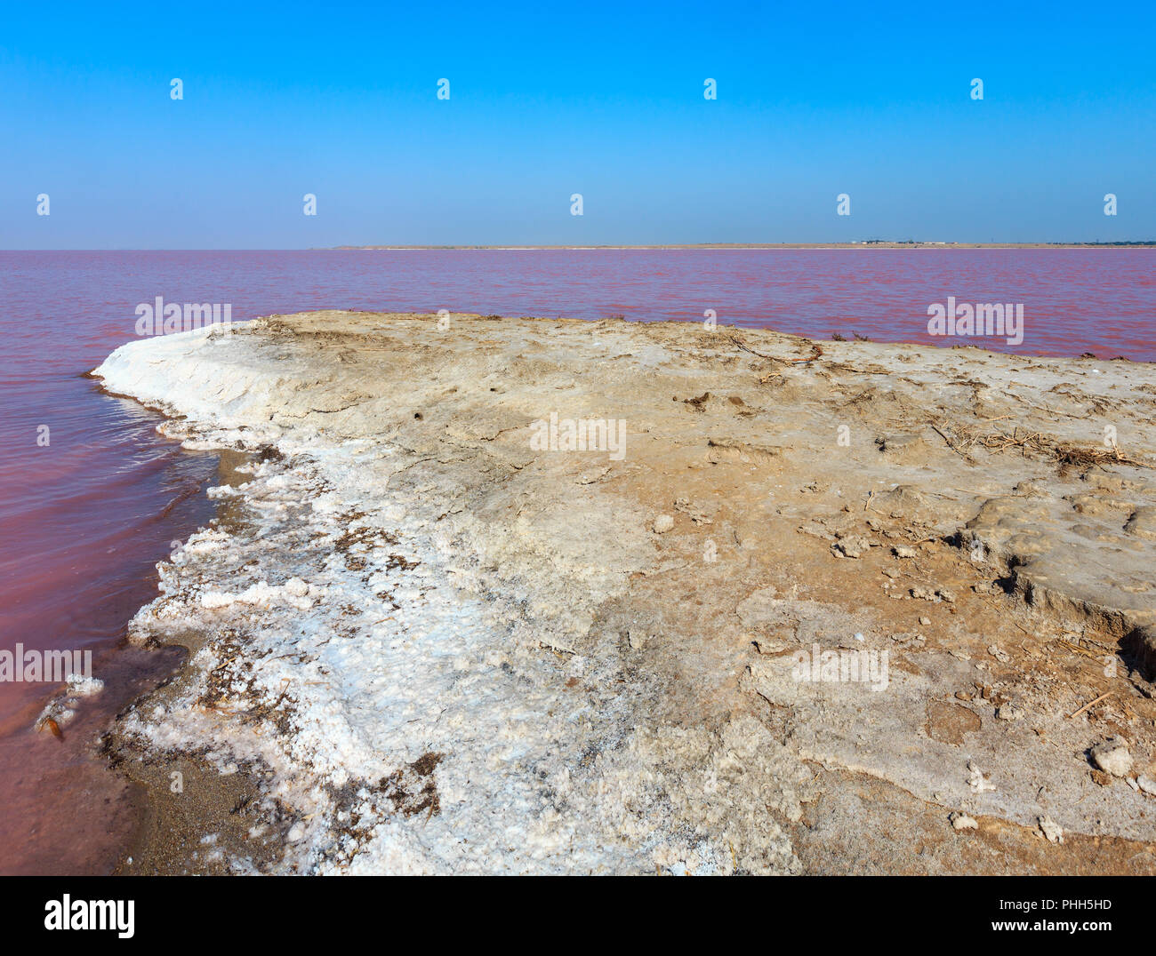 Pink salty Syvash Lake, Ukraine Stock Photo - Alamy
