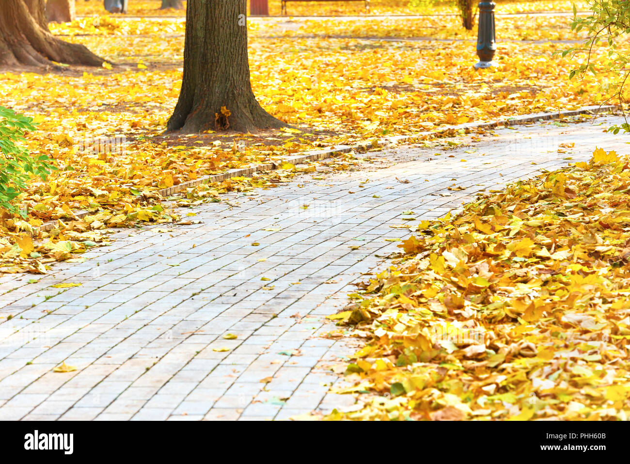 City path hi-res stock photography and images - Alamy