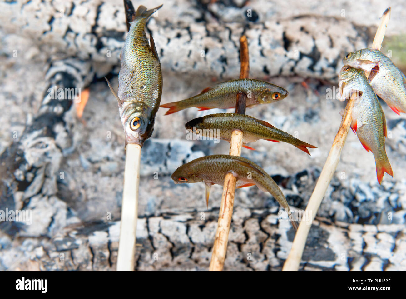 Grilled fish on the fire Stock Photo - Alamy