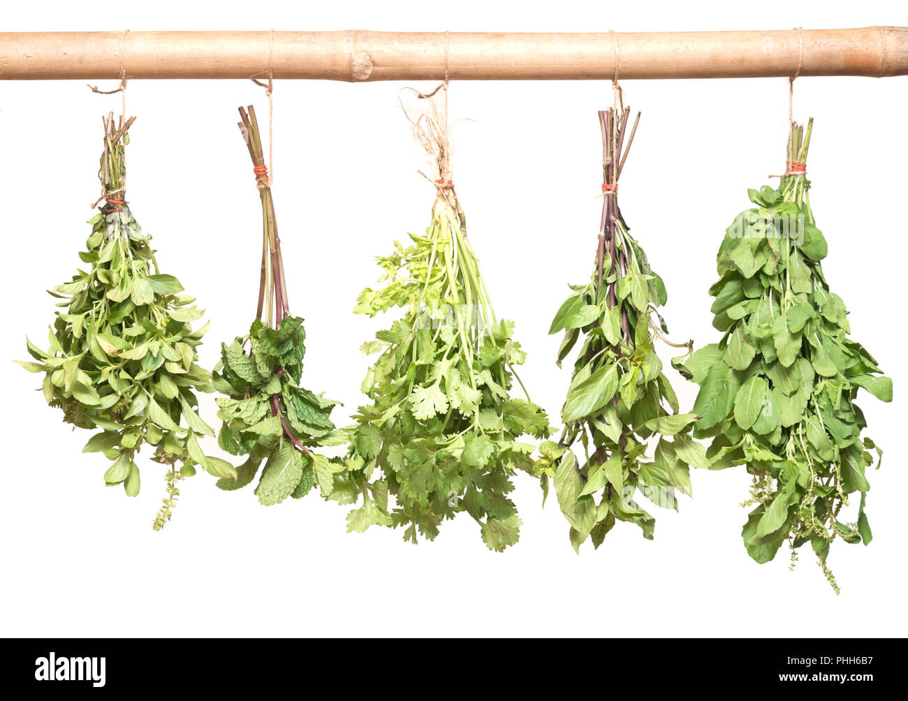 Medicinal herbs set hi-res stock photography and images - Alamy