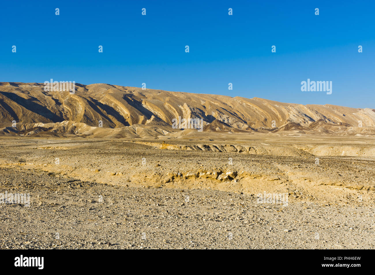Negev destination hi-res stock photography and images - Alamy
