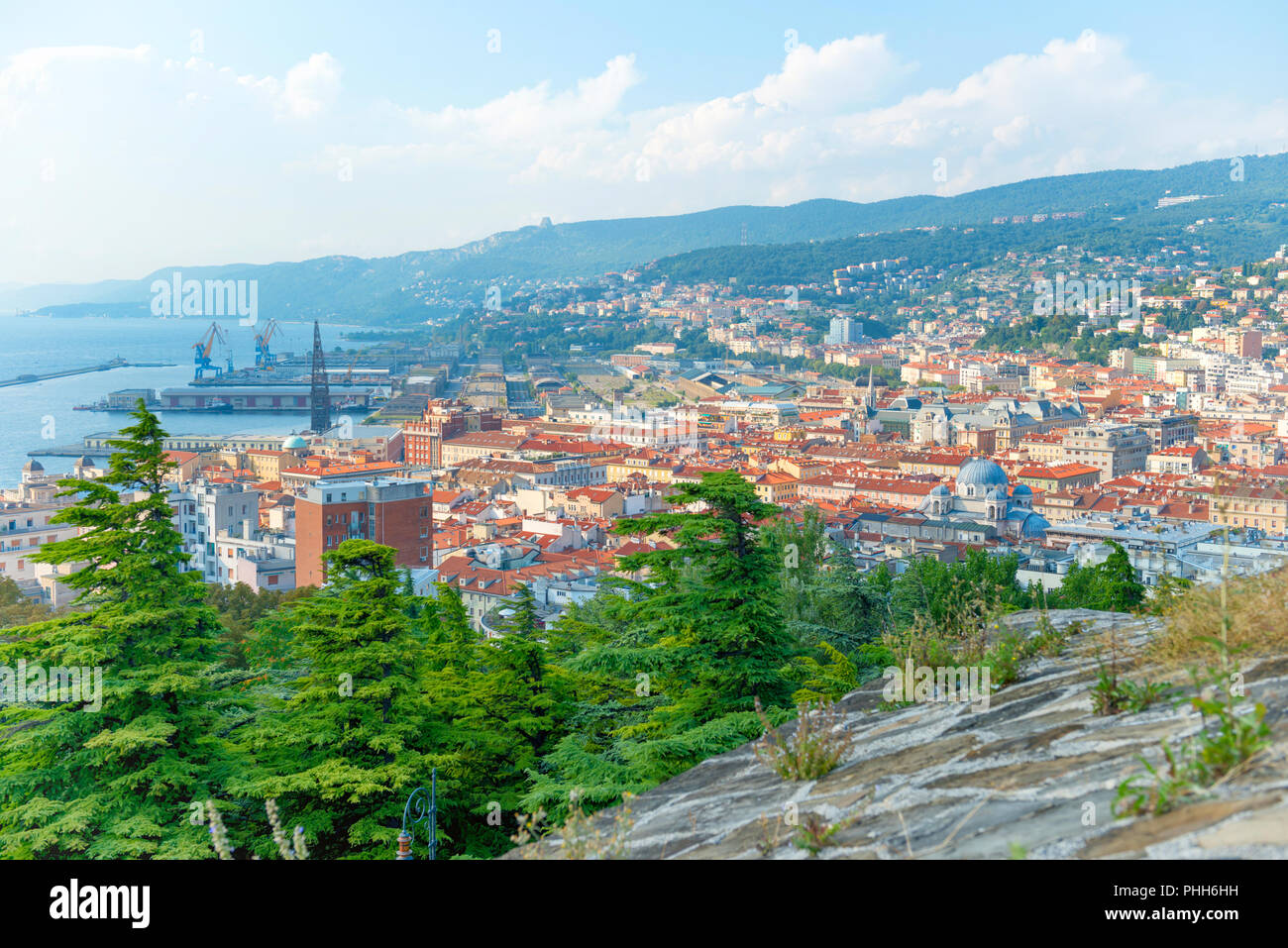 Aerial view city in summer hi-res stock photography and images - Alamy