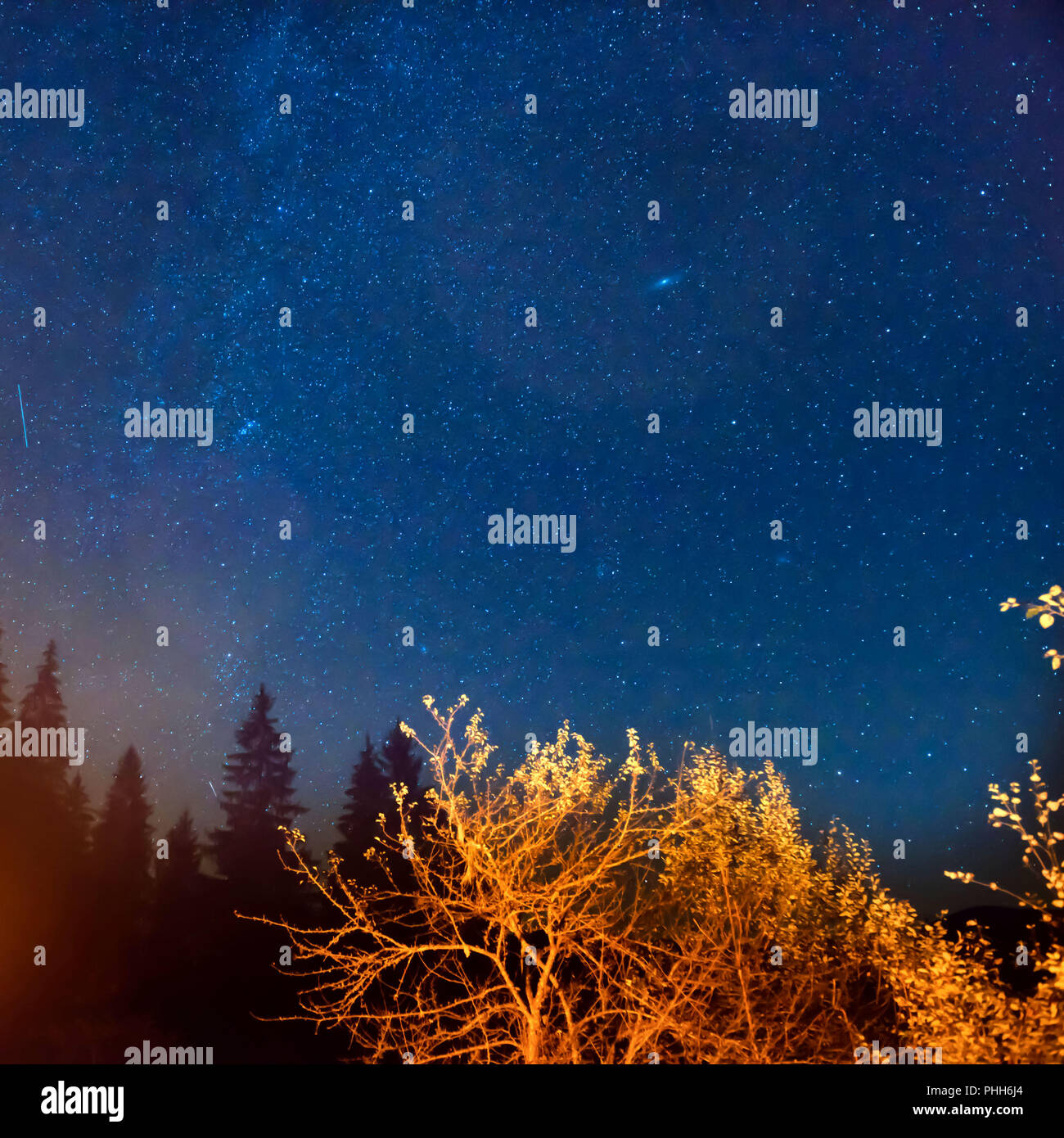 Above the forest hi-res stock photography and images - Alamy