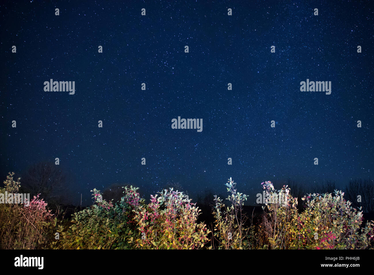 Night sky autumn stars hi-res stock photography and images - Alamy