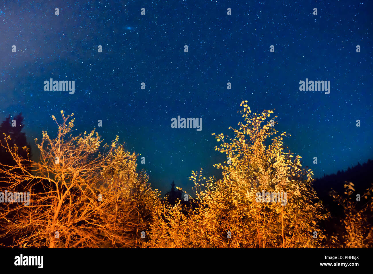 Dark night sky above autumn forest Stock Photo - Alamy