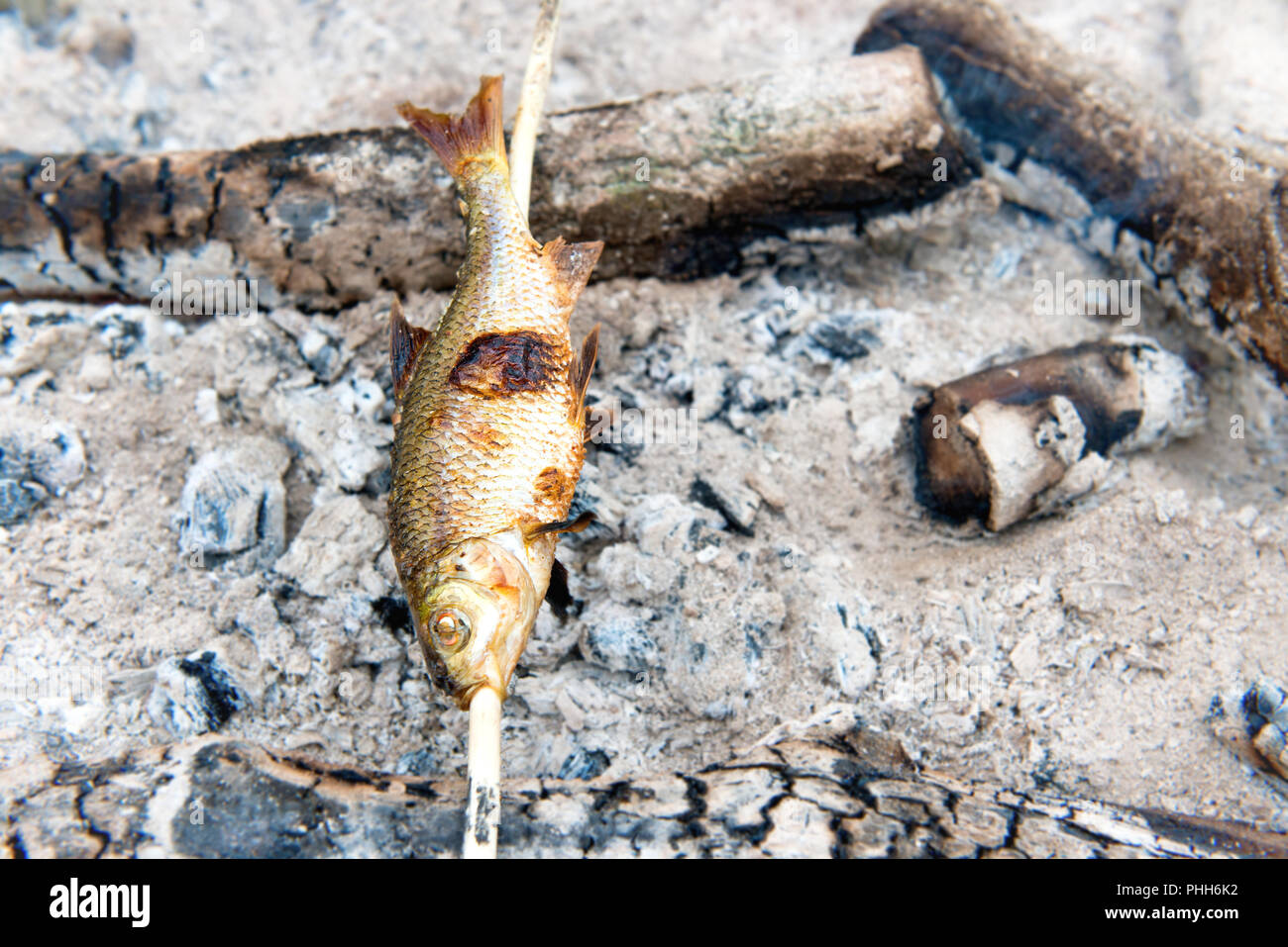 Trout fish cooked on charcoal hi-res stock photography and images - Alamy