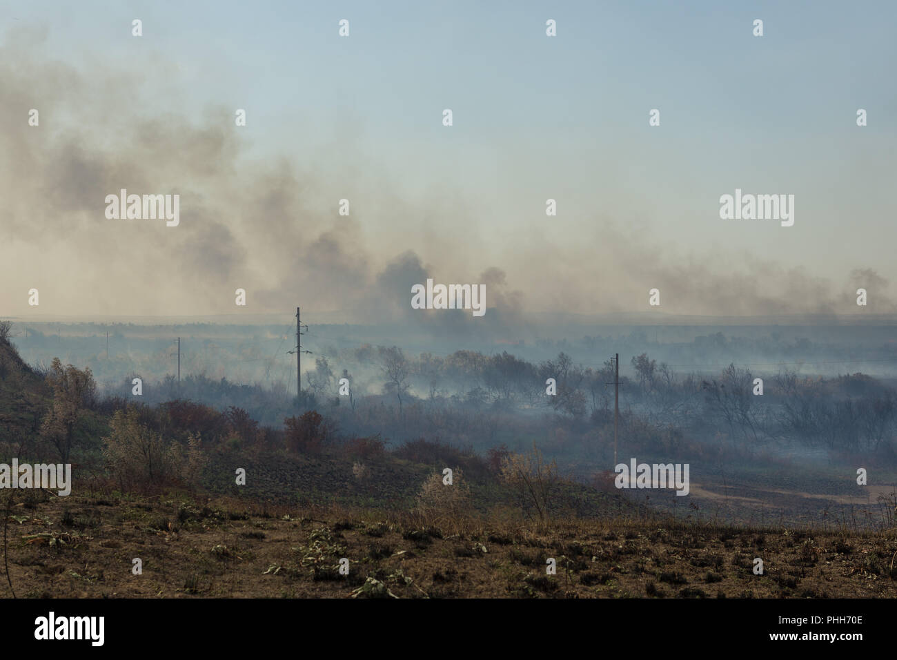 Forest fire. Burned trees after wildfire, pollution and a lot of smoke ...