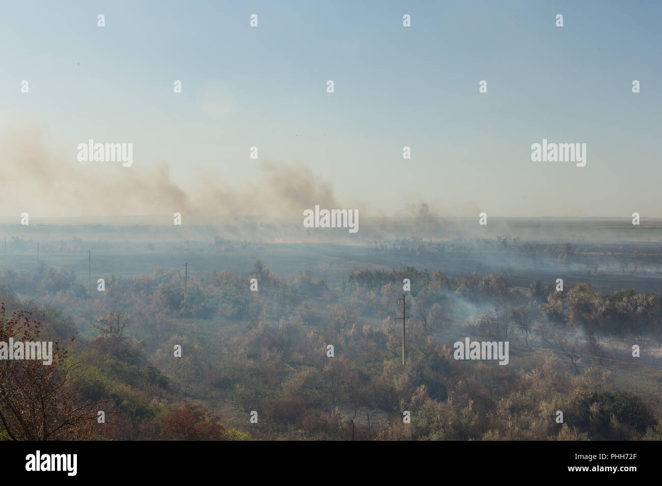 Forest fire. Burned trees after wildfire, pollution and a lot of smoke ...