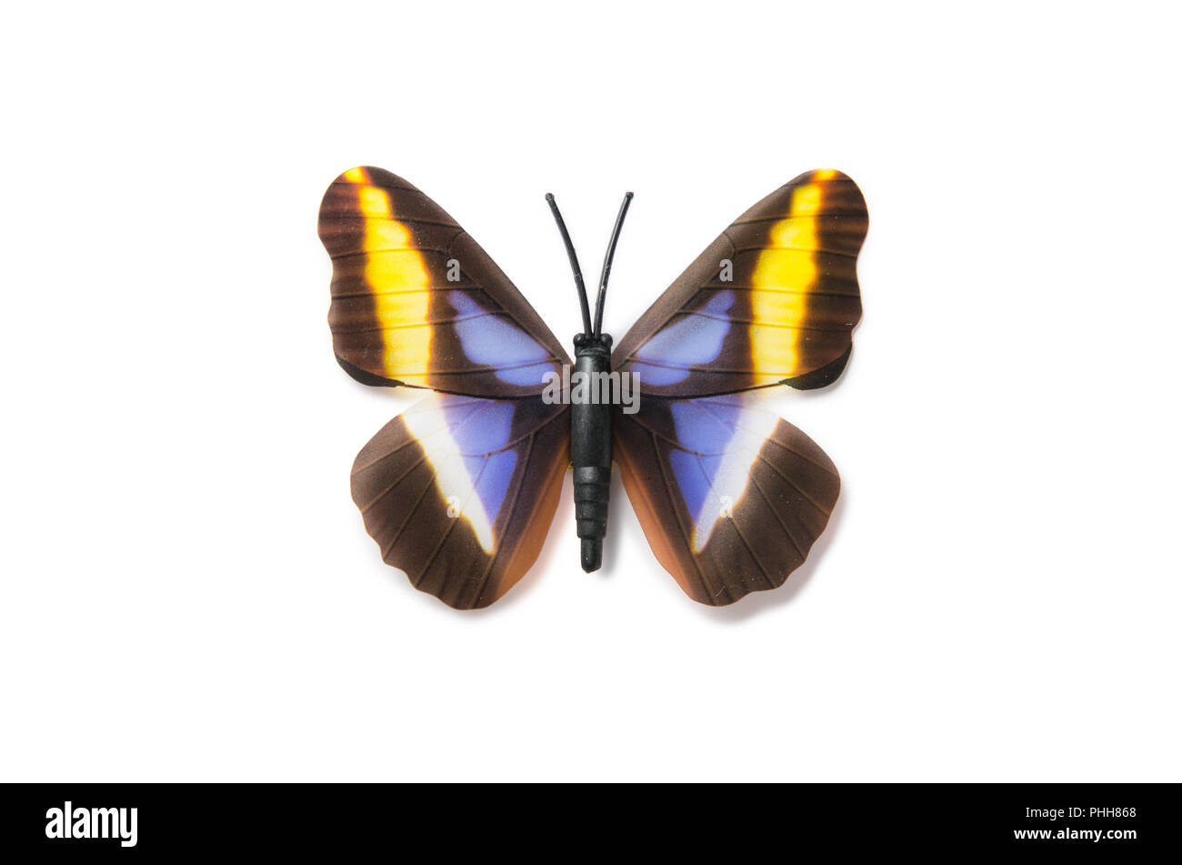 Colourful butterfly isolated on white background Stock Photo - Alamy